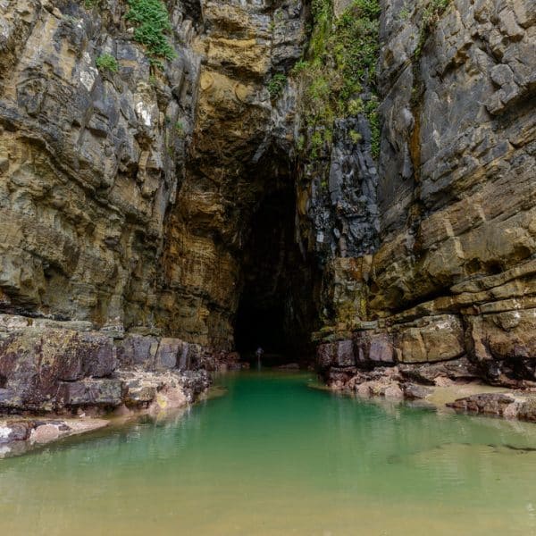 Waitomo Glow Worm Cave