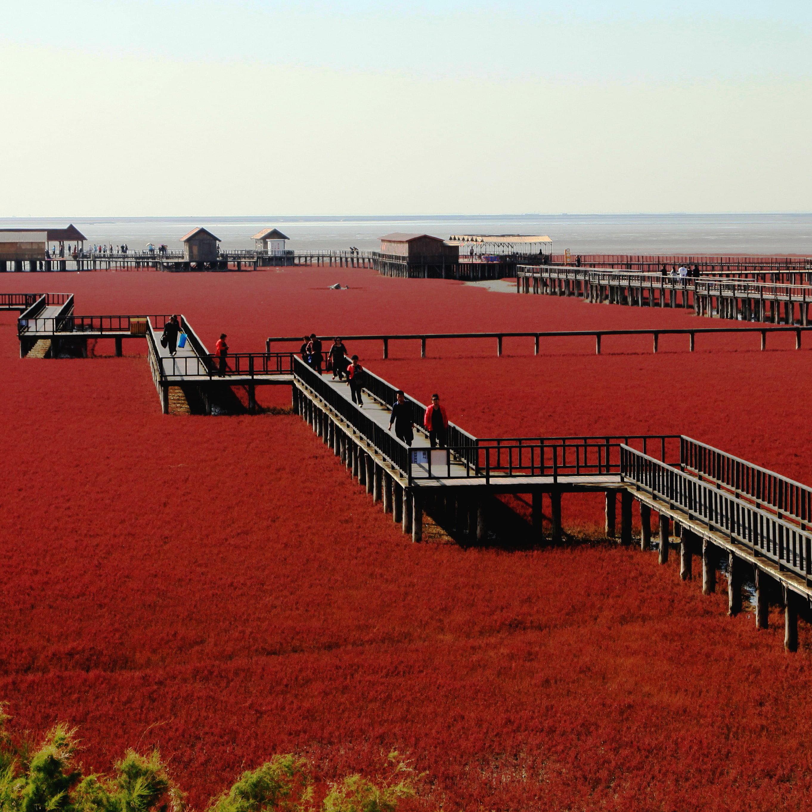 The Red Beach