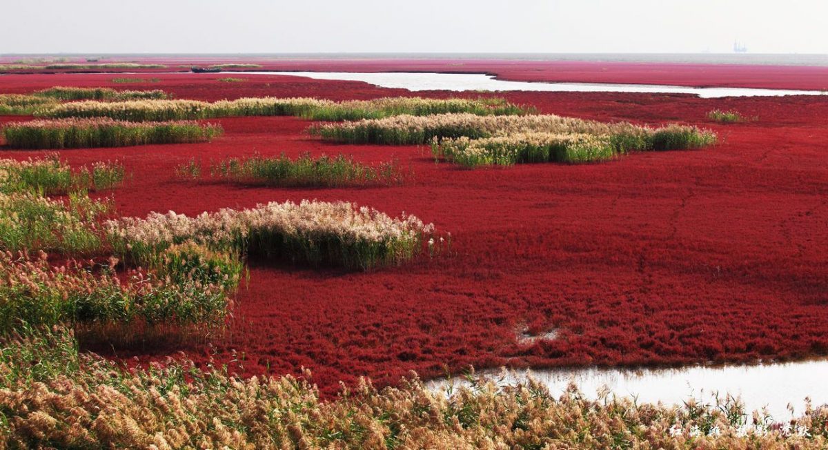 The Red Beach